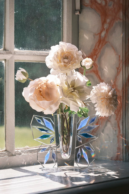 The 2026 Reveal – Page 2 – The Happy Kangaroo