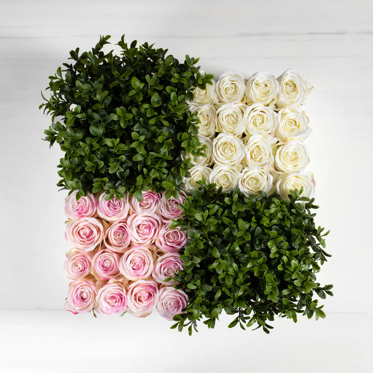 Rose Garden Square – The Happy Kangaroo